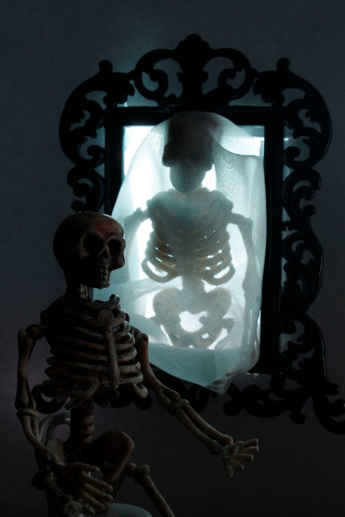 Skeleton Reflection + Still Life Artwork + Store - Rogue Pumpkin Studios