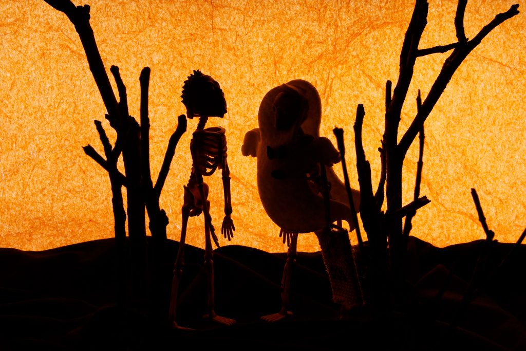Silhouette Skeleton + Still Life Artwork + Store - Rogue Pumpkin Studios